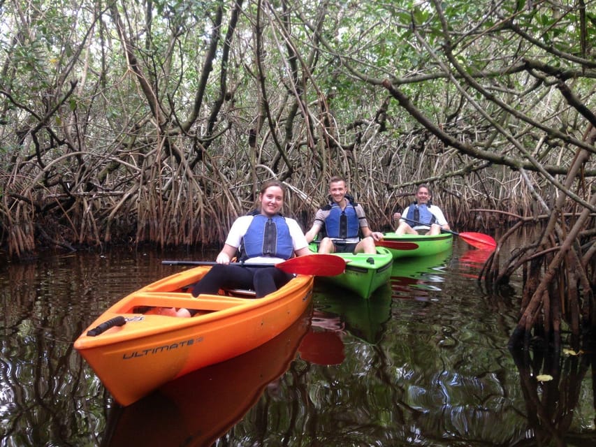 Everglades Kayak Safari Adventure Through Mangrove Tunnels | GetYourGuide