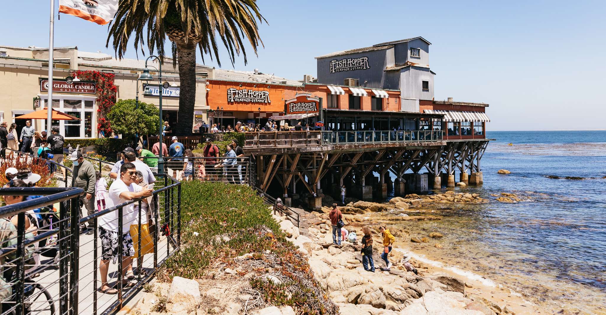 From San Francisco, Monterey and Carmel Day Tour | Day Trip in Monterey