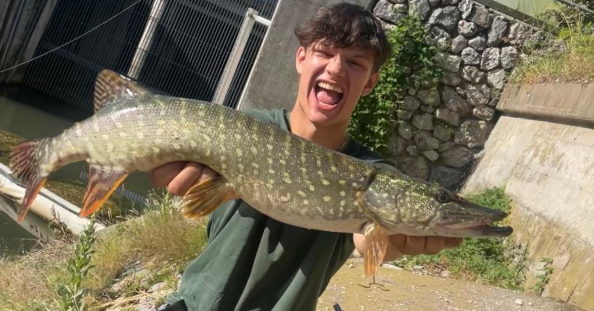 Guide de pêche Southtyrol-Trento : Brochet, Perche, Truite | GetYourGuide