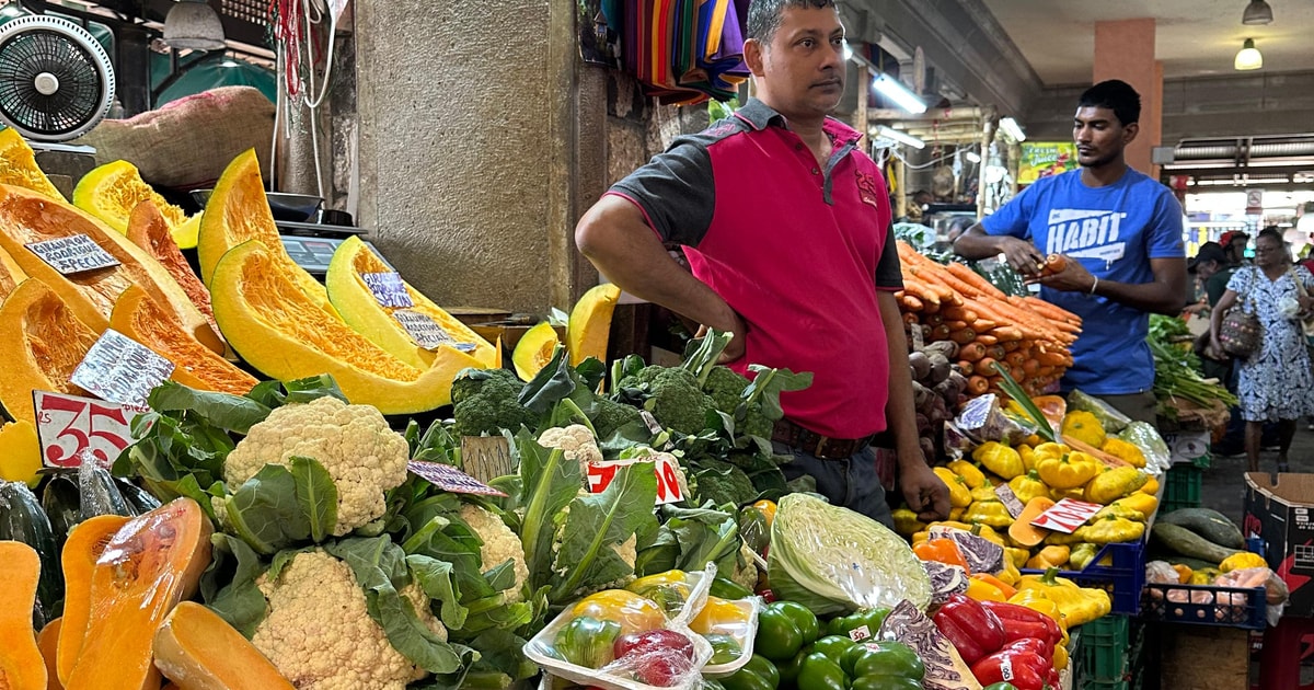 Mauritius: Port Louis, Pamplemousses Garden with guide and pick-up ...