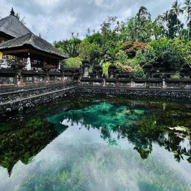 Full Day Tour Ubud Customized with Private Car | GetYourGuide
