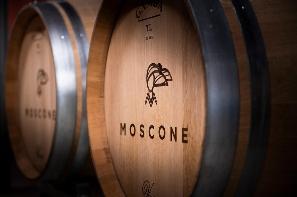 The Dosman: Winetasting in La Morra | GetYourGuide