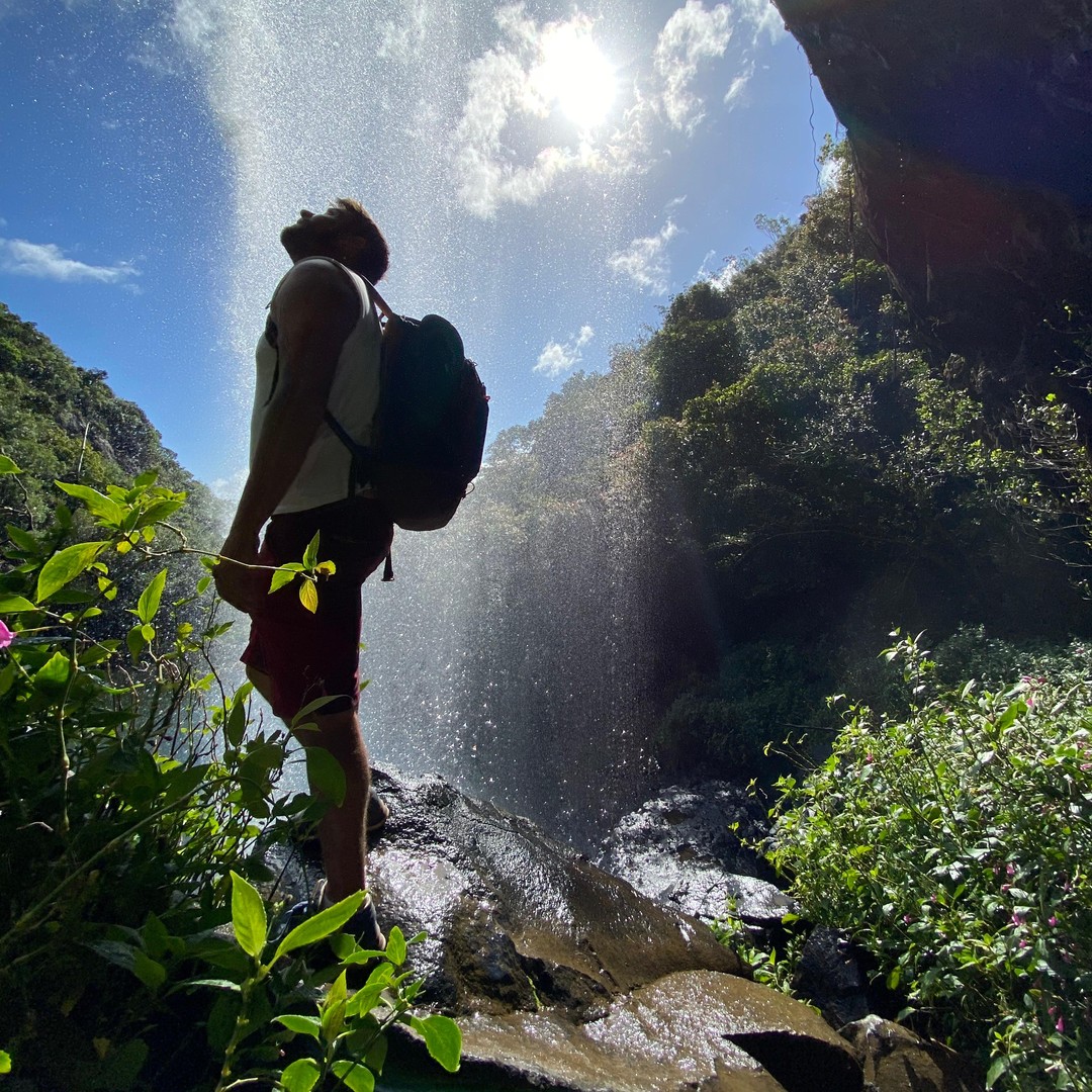 Mauritius Natirel: scoperta delle cascate di Tamarindo e trasferimento ...
