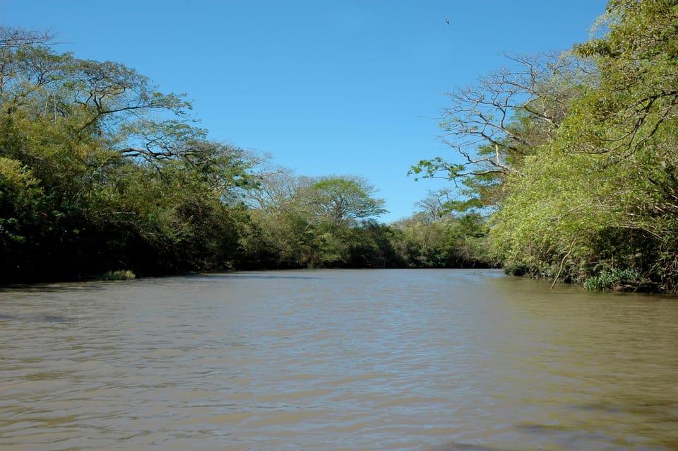 From Guanacaste: Tempisque River Cruise with Fruit Platter | GetYourGuide