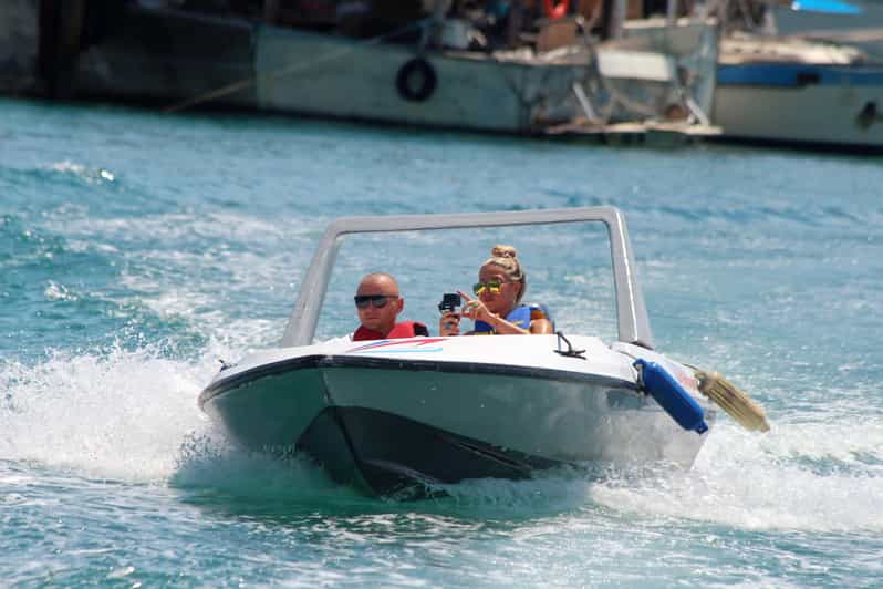Nassau: Self-Drive Speedboat Ride and Pig Swimming Encounter | GetYourGuide