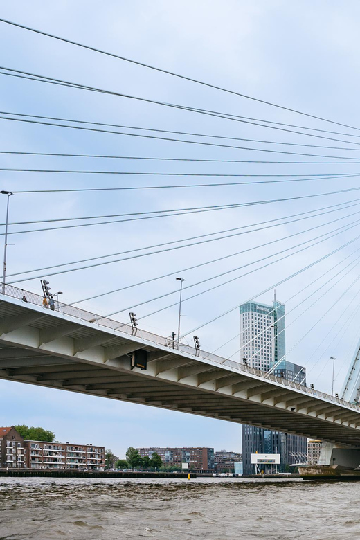 Rotterdam: RIB Speedboat Sightseeing Cruise | GetYourGuide