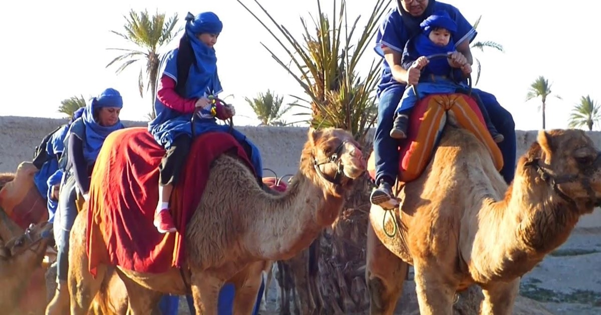 Marrakech: Camel Ride in the Oasis Palmeraie | GetYourGuide
