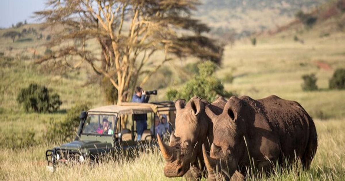 Nairobi: 2-Day Solio Ranch Safari with Accommodation | GetYourGuide