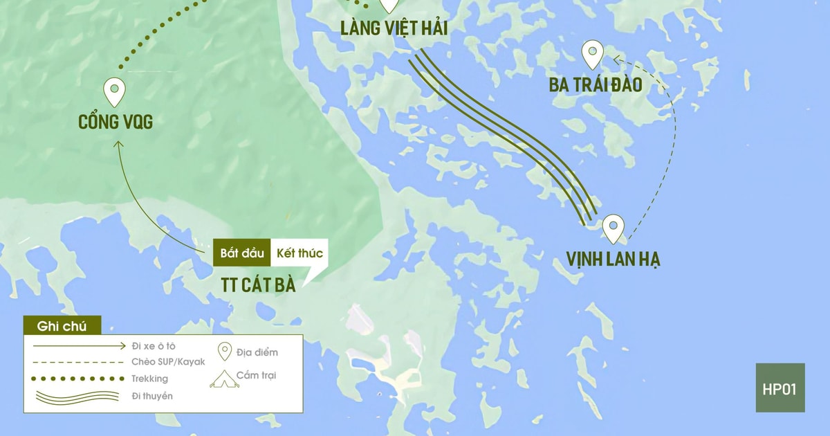 SUP y senderismo - La conquista del bosque de Cat Ba y la bahía de Lan ...