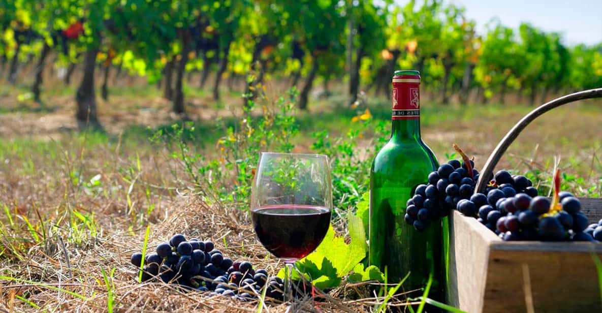 Wine tour: 4 wine factories & wineries in one day | GetYourGuide