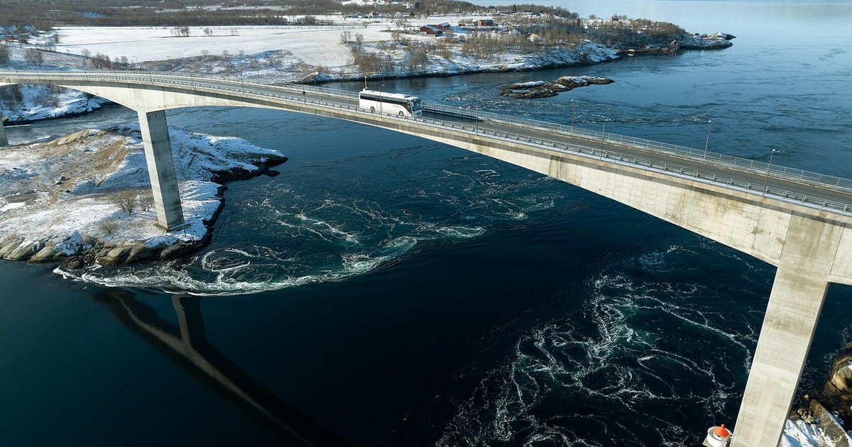 Bodø: Saltstraumen Gezeitenstrom-Tour mit AV-Guide | GetYourGuide