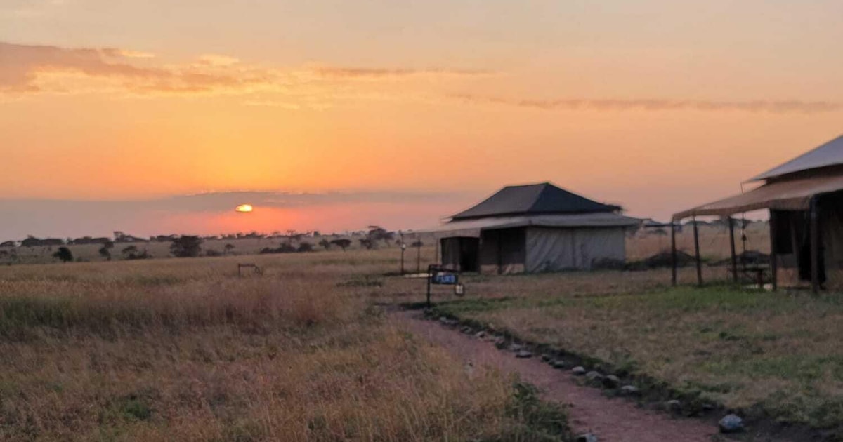 9-daagse Serengeti-safari met dagwandeling naar Kilimanjaro | GetYourGuide