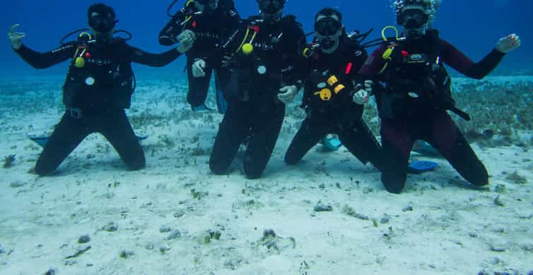 2 Tank Dive in Cozumel’s Marine National Park | GetYourGuide