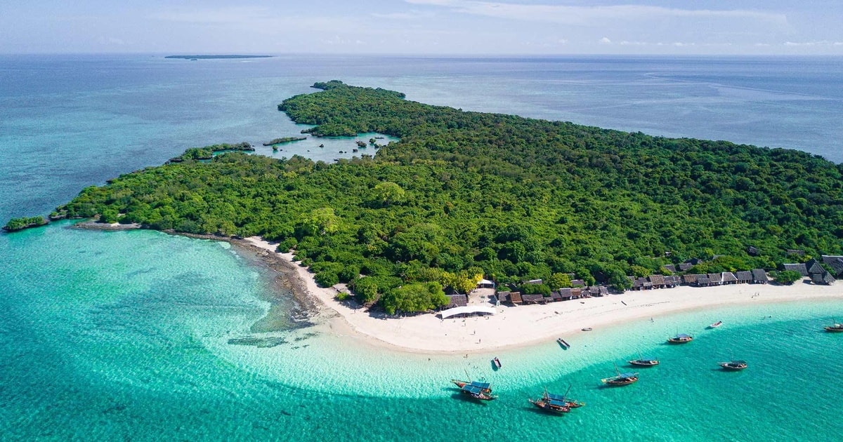 ZANZIBAR :Escursione di un giorno a Menai bay safari | GetYourGuide