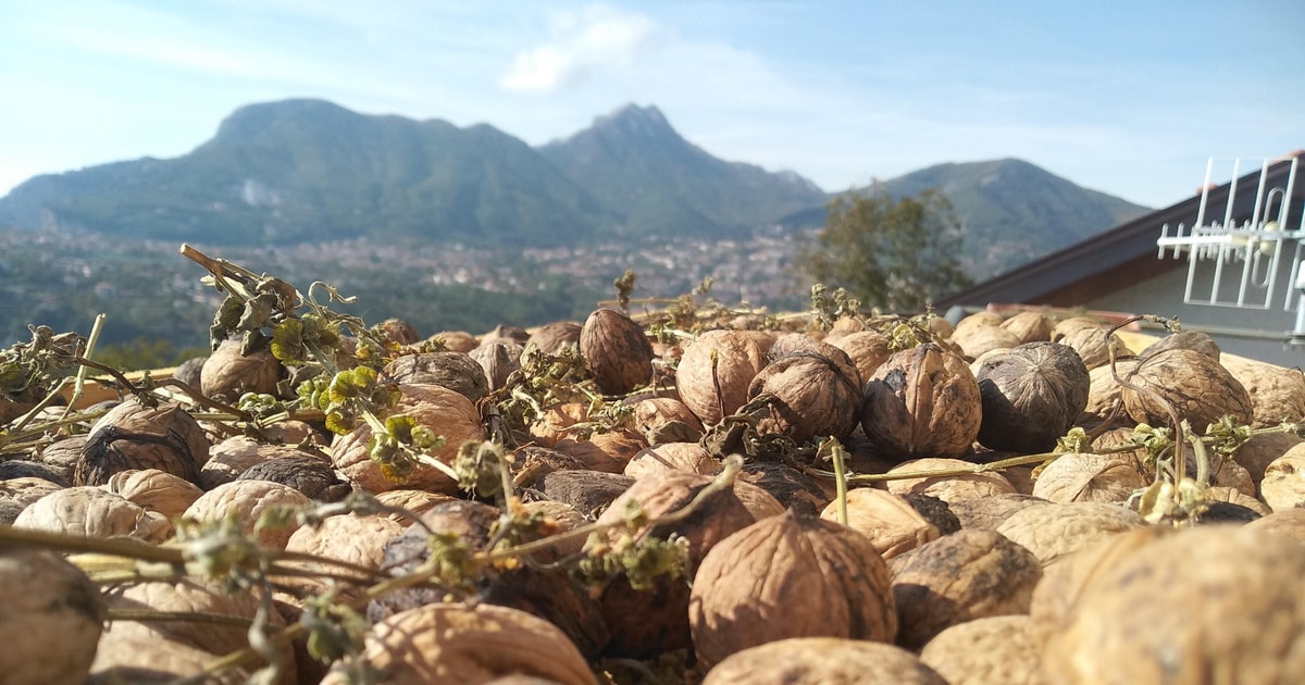 TREK 'N' COOK, Amalfi Coast, Agerola | GetYourGuide