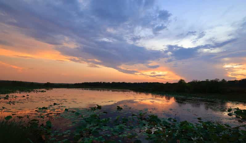 Darwin: Fogg Dam Wetlands Sunset & Humpty Doo Hotel Tour | GetYourGuide