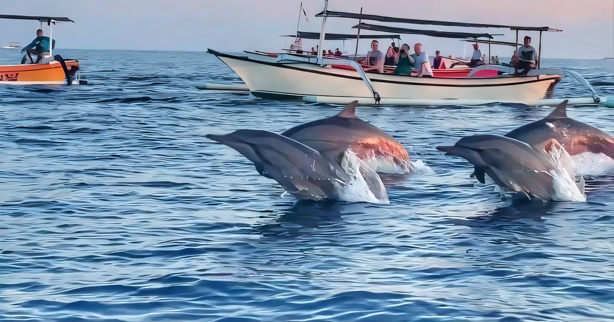 Lovina: Dolphin and Twin Waterfall All Inclusive Day Trip | GetYourGuide