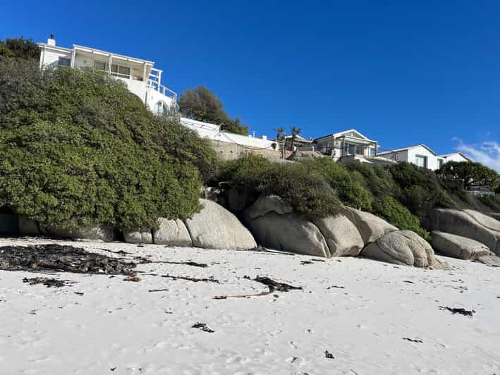 Full-Day Private Cape Town’s Most Beautiful Beaches Tour | GetYourGuide