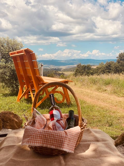 Organic farm lunch picnic in Maremma Tuscany | GetYourGuide