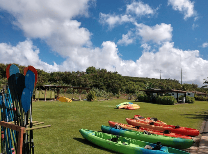 North Shore's best day! River, Turtles, Farm with Lunch | GetYourGuide