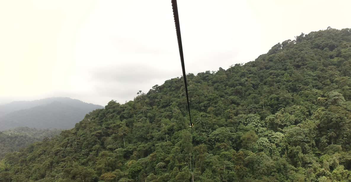 Quito: Mindo - Adventure and nature in the Cloud Forest | GetYourGuide