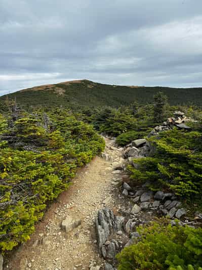 Boston: Excursión de 4.000 pies a las Montañas Blancas - Monte ...