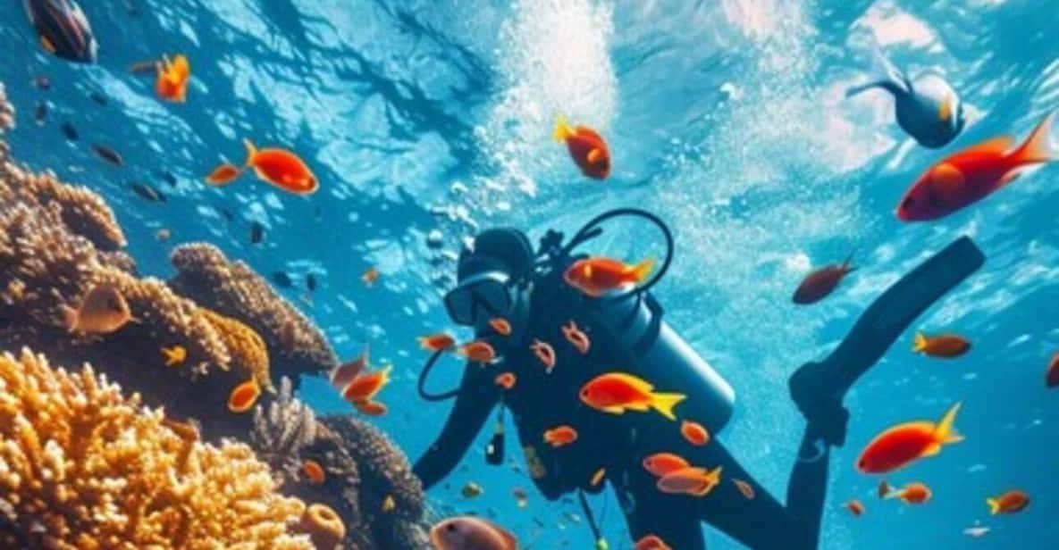 Yanbu: Beach Diving Experience with Instructor | GetYourGuide