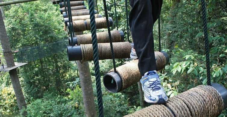 Skytrex Adventure Park Experience in Sg Congkak | GetYourGuide