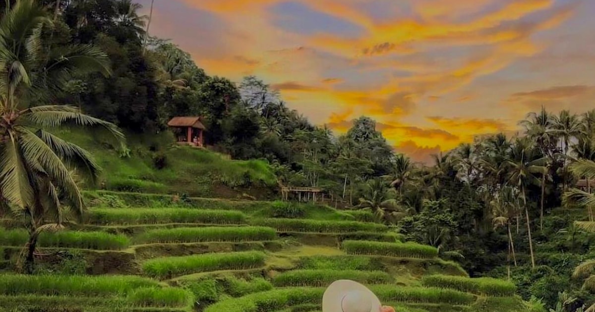 Ubud: Rice terrace, Monkey Forest & Waterfall -All Inclusive | GetYourGuide