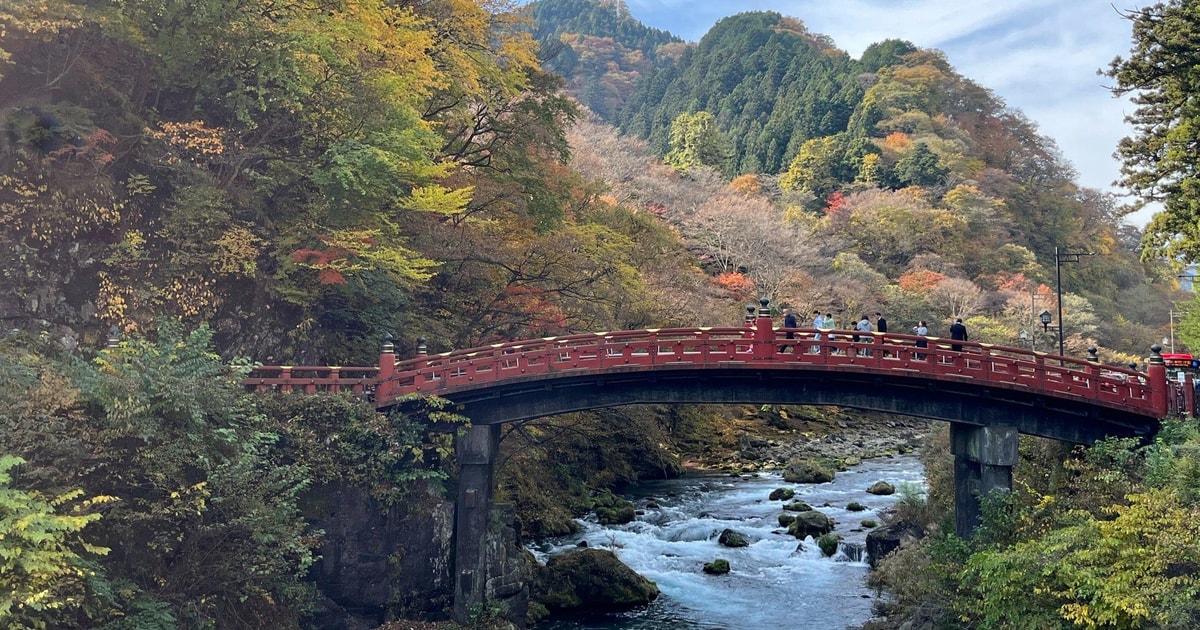 Von Tokio: Private Tour nach Nikko mit Fahrer und Guide | GetYourGuide