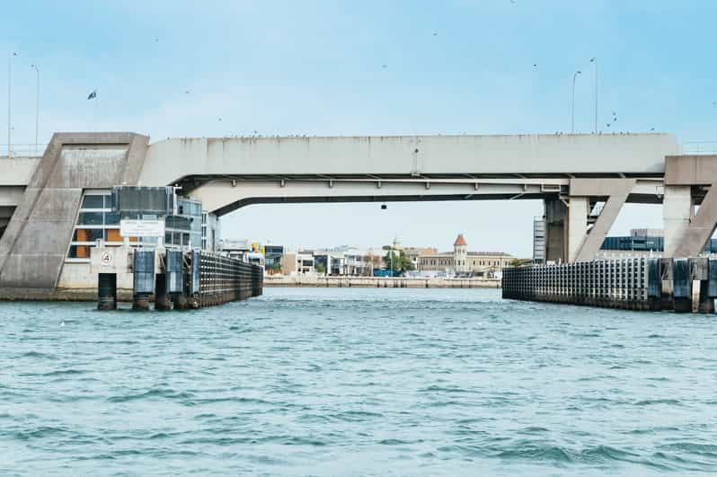 Port Adelaide: Delfin- og skibskirkegårdskrydstogt | GetYourGuide