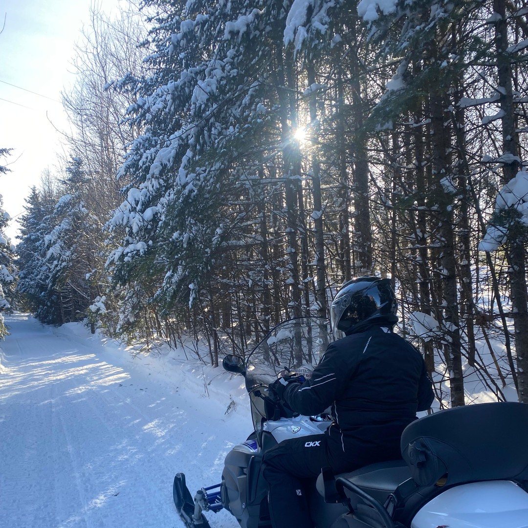 Montreal: Canadian Forest Guided Tour by Snowmobile | GetYourGuide