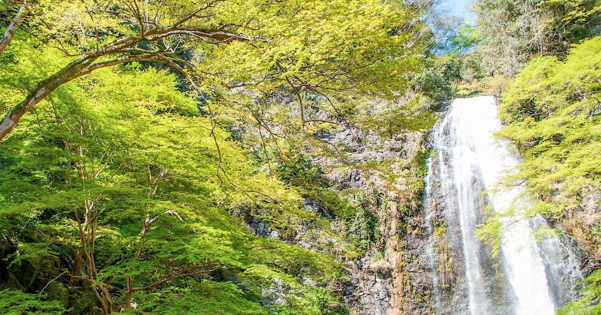 Minoo Park: Geführte Naturwanderung | GetYourGuide