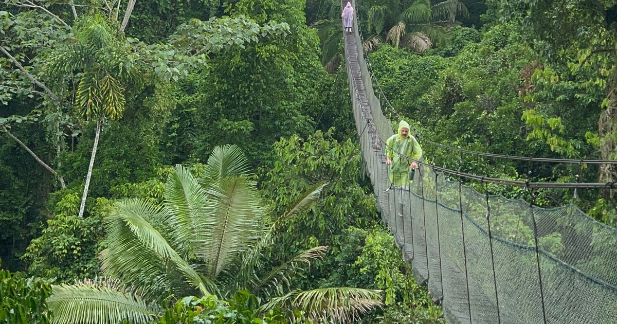 Canopy Tower, Zipline, Kayak, and Monkey Island … | GetYourGuide