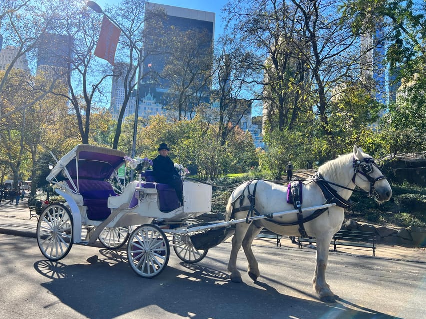 Royal Carriage Ride in Central Park NYC | GetYourGuide