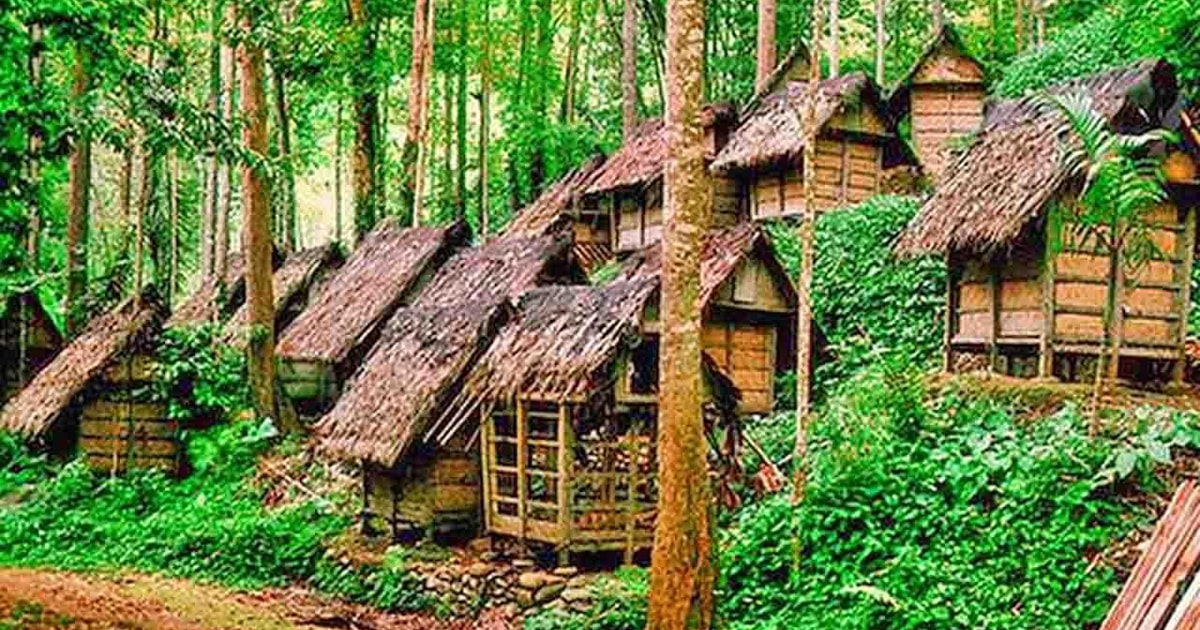 Jakarta : Private Tour Baduy Primitive Village | GetYourGuide