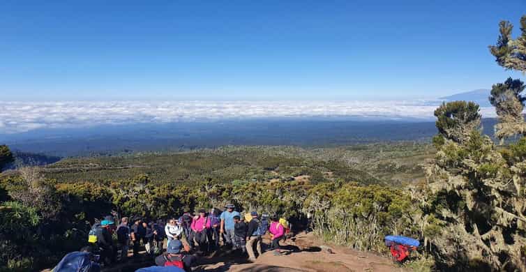 8-day Kilimanjaro climbing Northern Circuit route | GetYourGuide