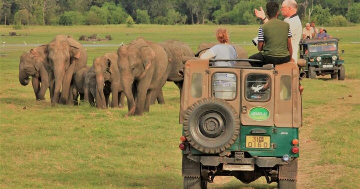 Habarana Hurulu Eco Park Elephant Jeep Safari | GetYourGuide