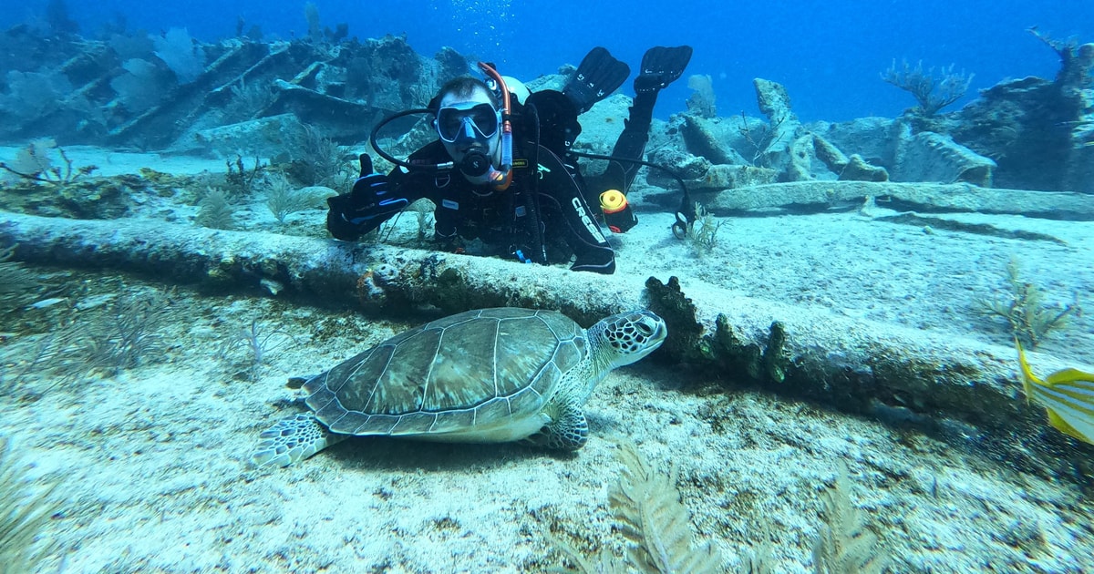 Key Largo: 2-Tank Shallow Reef Dive with Guide & Photos | GetYourGuide