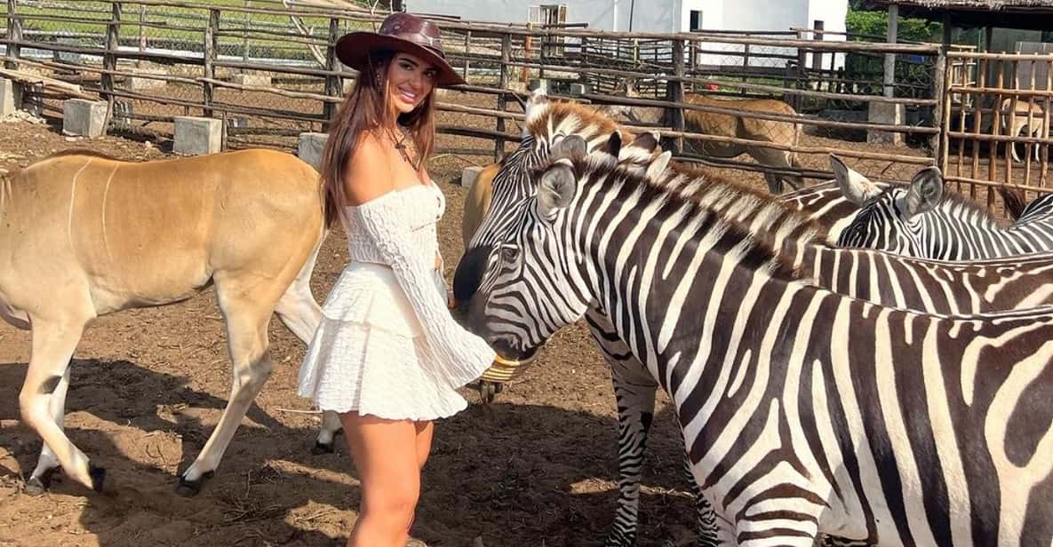 From Zanzibar Animal Feeding & Dar Es Salaam City Tour 2Days | GetYourGuide