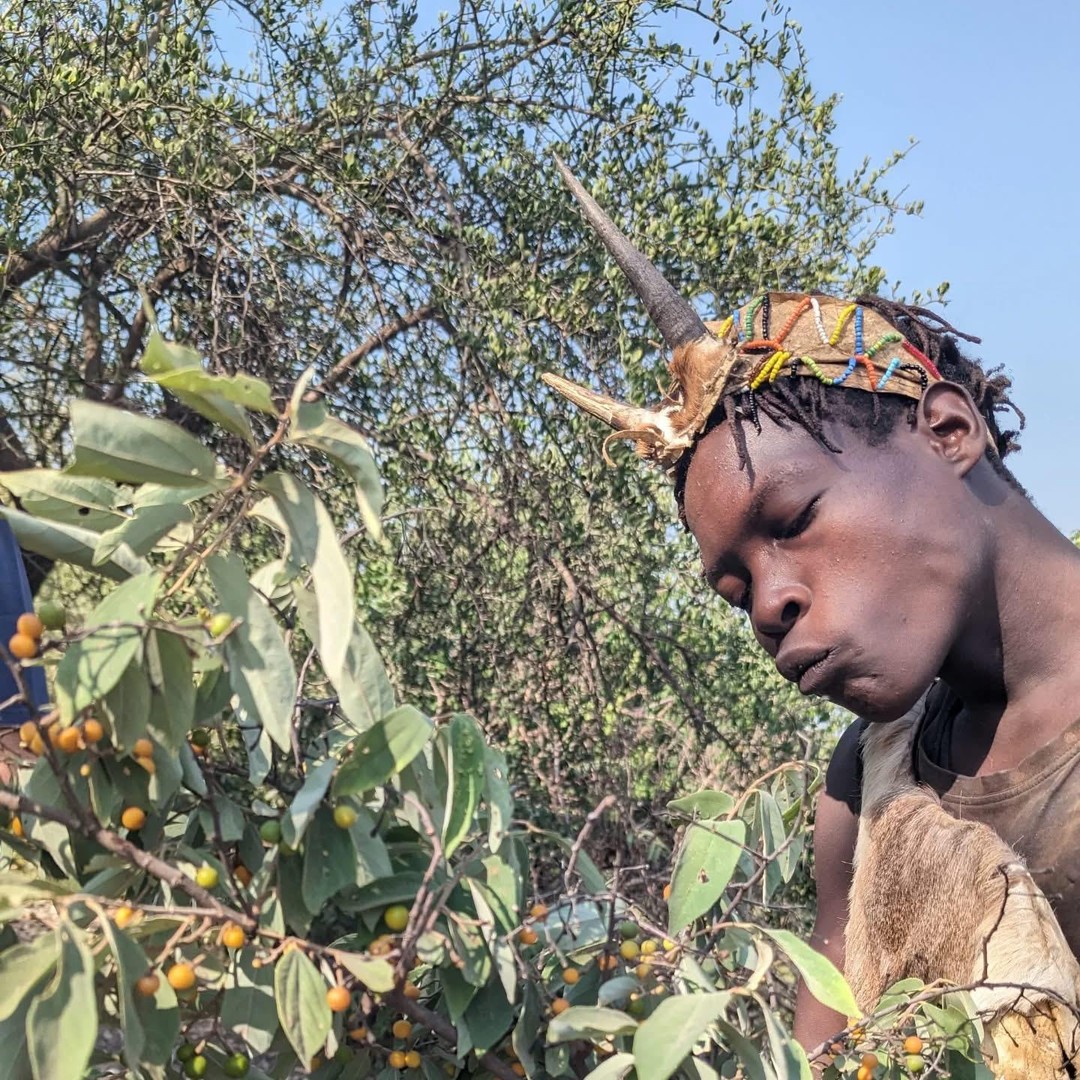 Arusha/moshi: Rundvisning i en masai-landsby og Chemka varme kilder ...