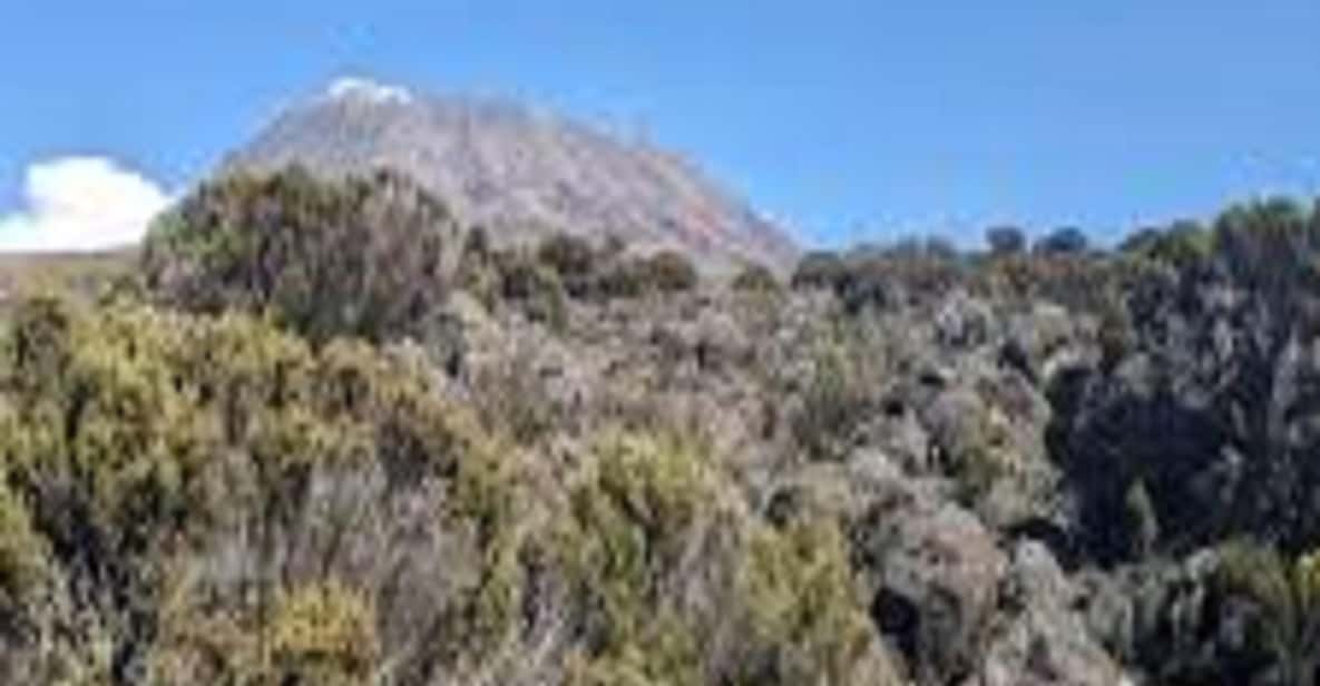 Moshi: Kilimanjaro Climb Marangu Route guidet tur | GetYourGuide