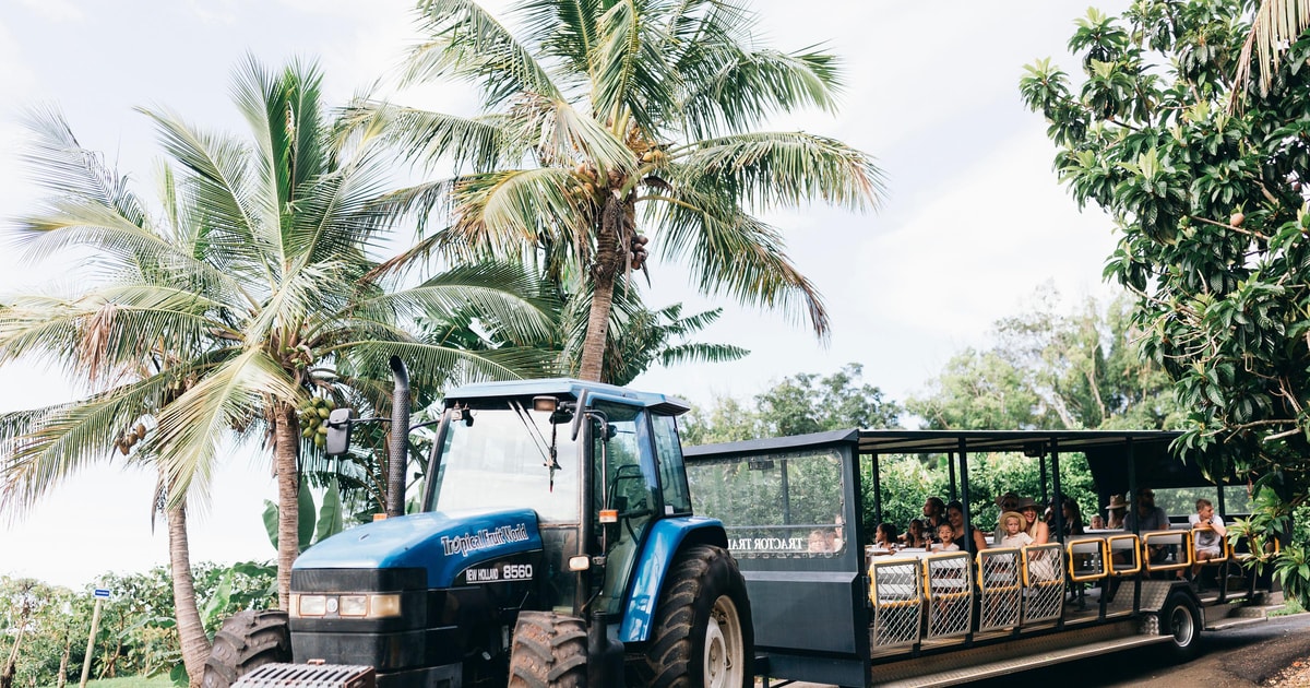 Goldküste: Tropical Fruit World Tractor Train Tour | GetYourGuide
