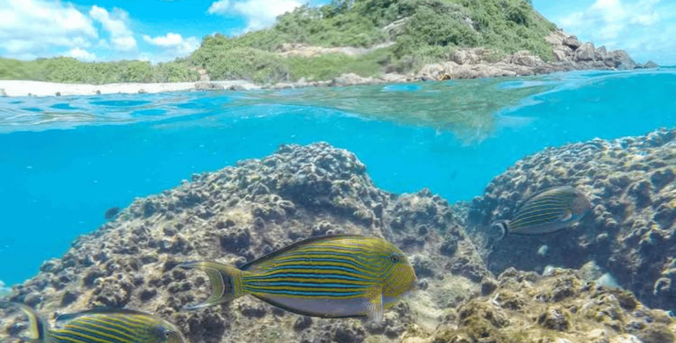 Trincomalee: A 5-Day Journey of Sightseeing and Beach Bliss | GetYourGuide