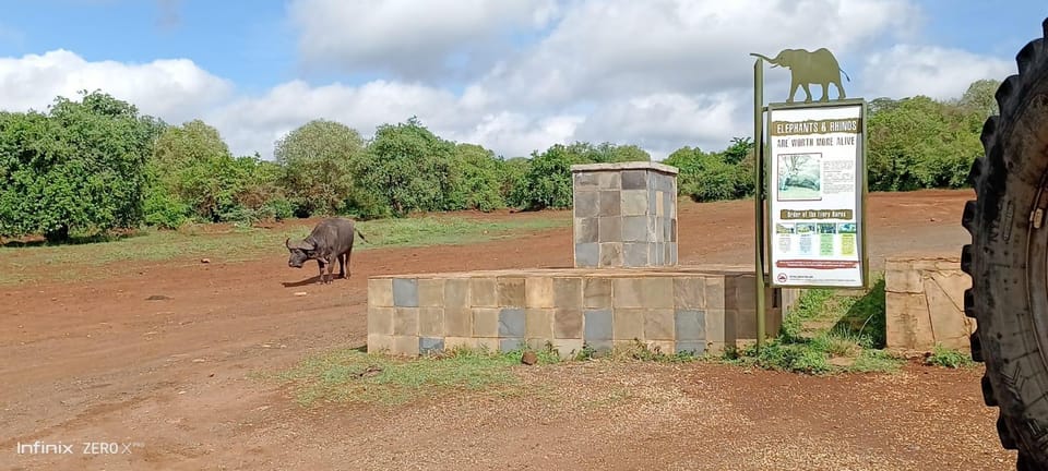 Nairobi National park group joining game drive tour. | GetYourGuide