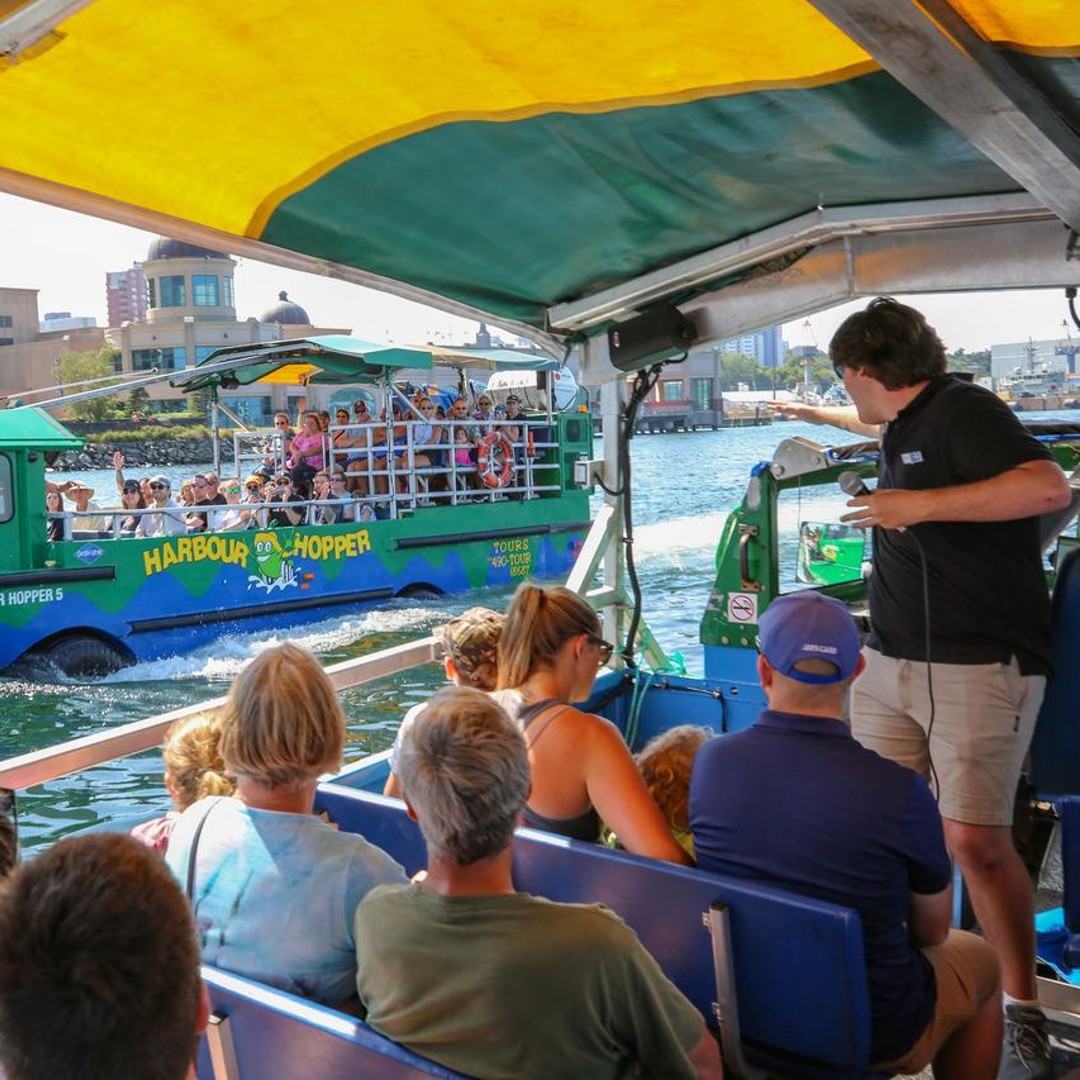 Halifax: Harbour Hopper City & Water Cruise in a Duck Boat | GetYourGuide