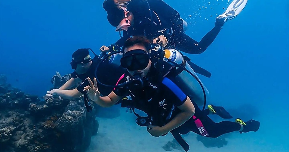 Bali: Padangbai PADI Discover Scuba Diving with 2 Dives | GetYourGuide