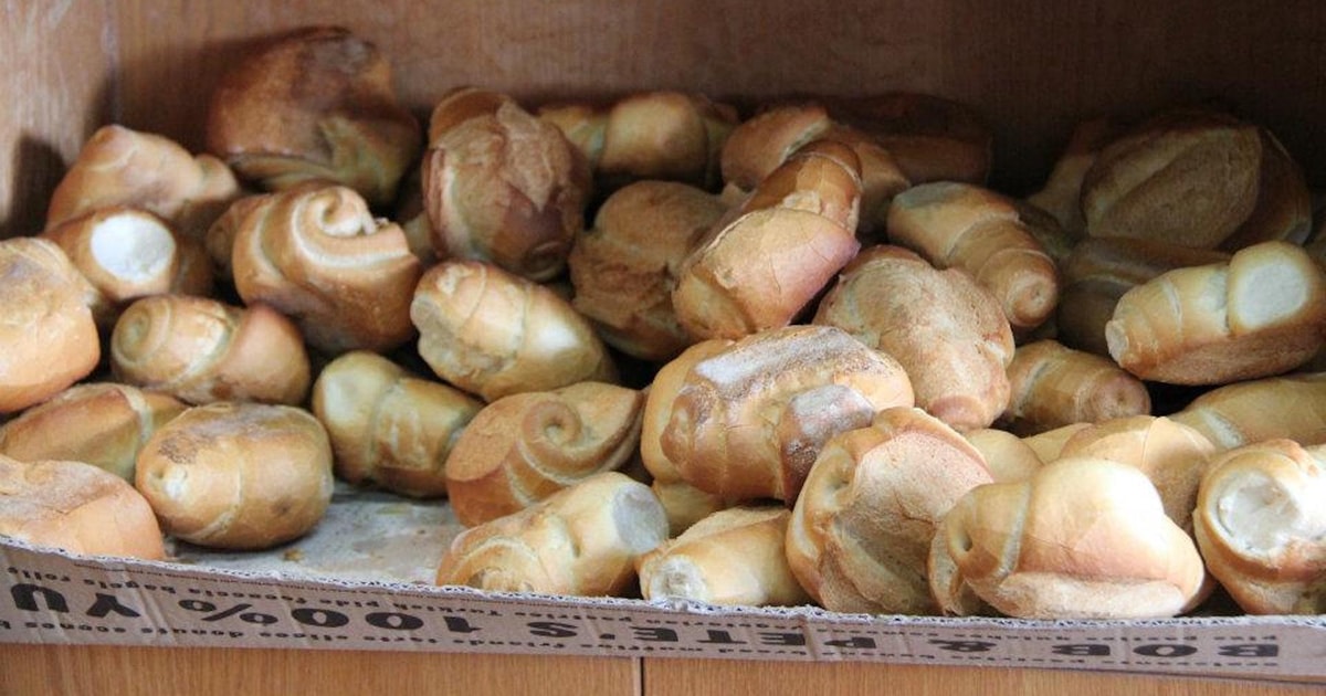 Haberfield: Italian Food Tour with Local Guide | GetYourGuide