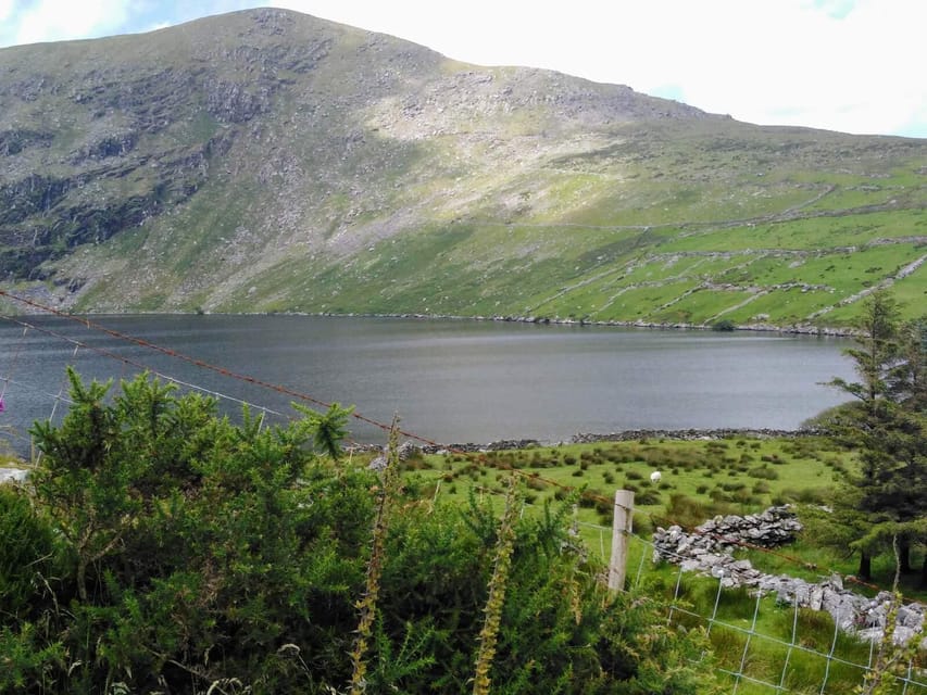 From Cork: Ring of Kerry & Killarney Guided Full Day Tour | GetYourGuide