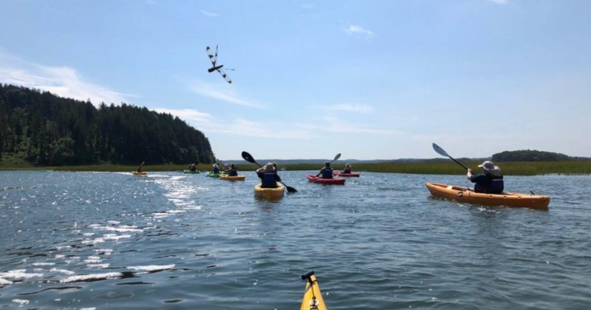 Gita di un giorno da Boston: Kayak guidato alla tenuta di Crane ...